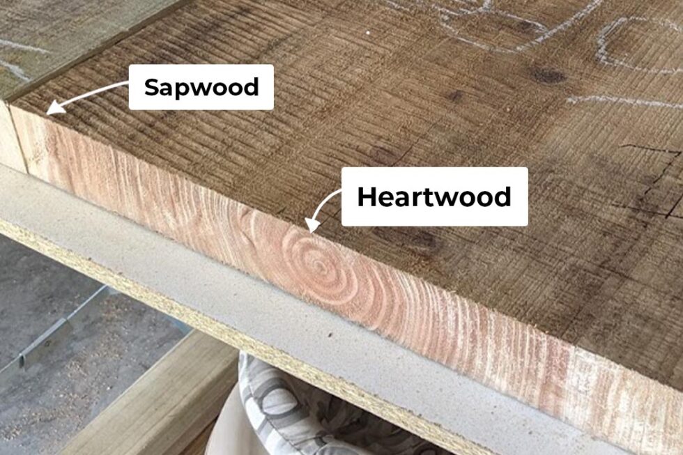 The difference between Sapwood and Heartwood - JEB Woodworking
