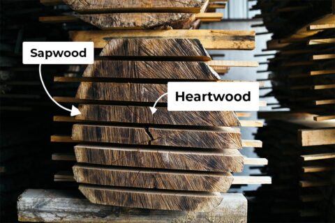 The difference between Sapwood and Heartwood - JEB Woodworking